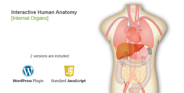 Interactive Human Body Organs Diagram Wordpress Media - code.market