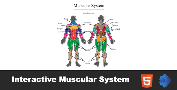 Interactive Muscular System - code.market